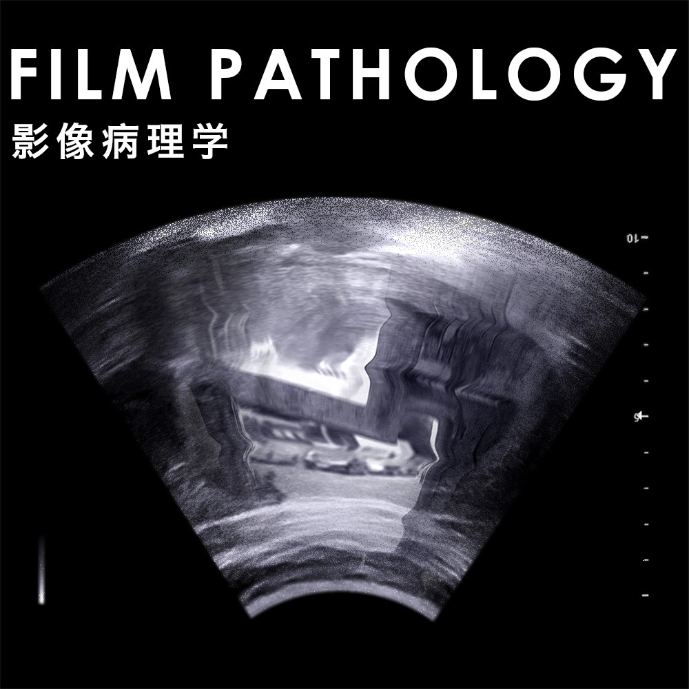 FILM PATHOLOGY – MOM art space